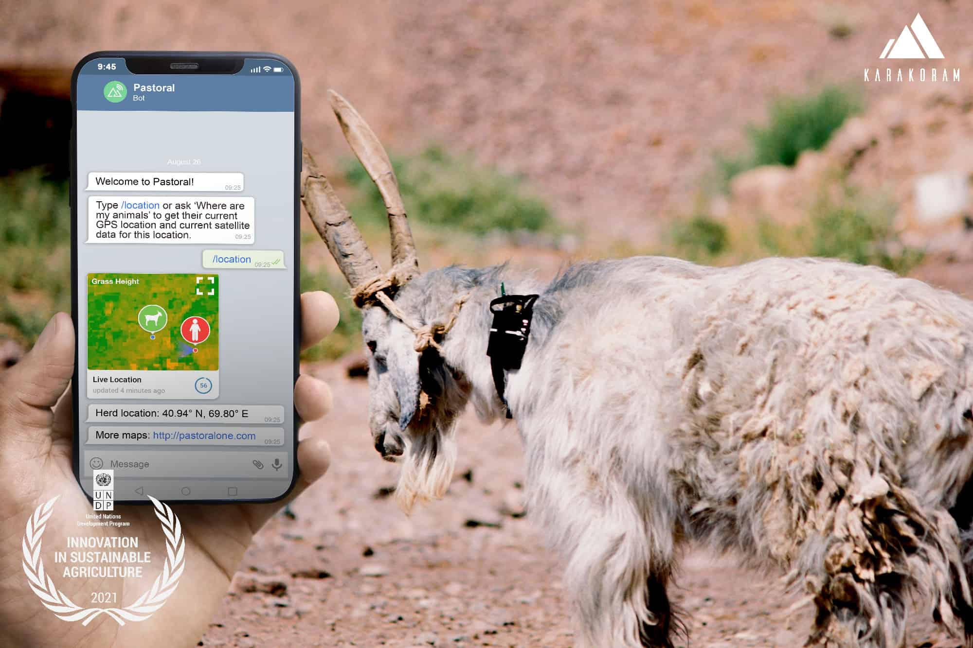 Pastoral - a Precision Livestock Farming platform - BOLD Awards