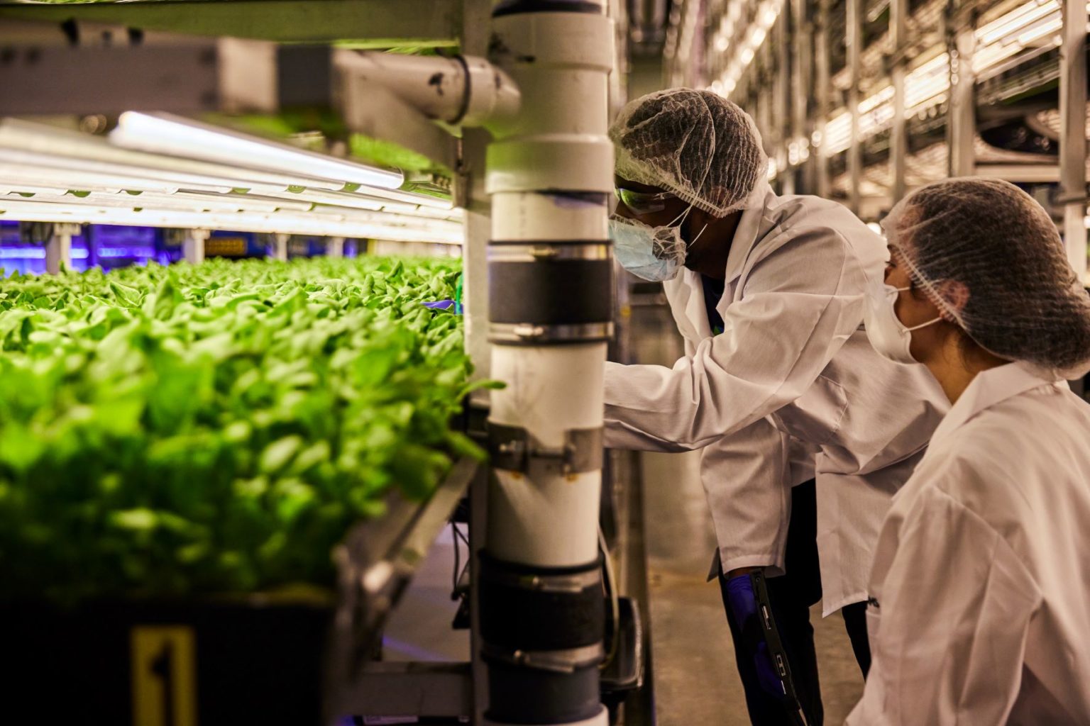 Winners and Finalists Bold Awards IV